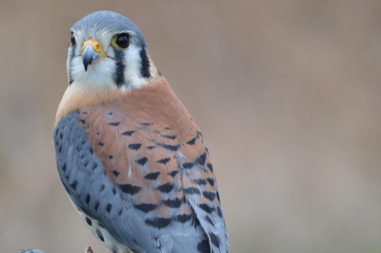 Hidden Gems of NJ: Outdoor Treasures - NJ Family