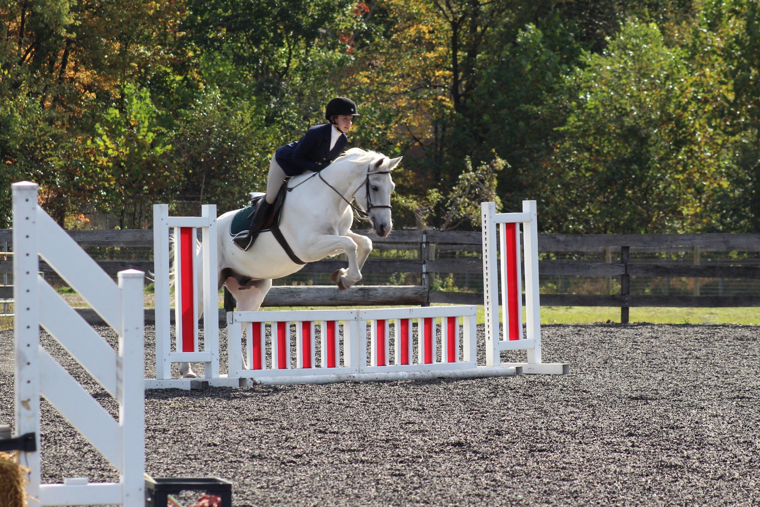 Seaton Hackney Stables - NJ Family