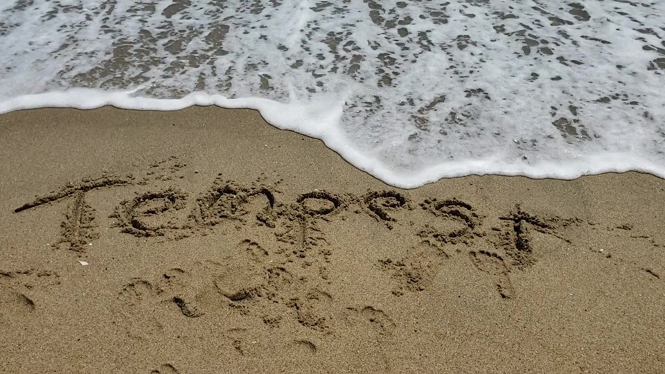 The Penny Stinkards Present The Tempest - NJ Family