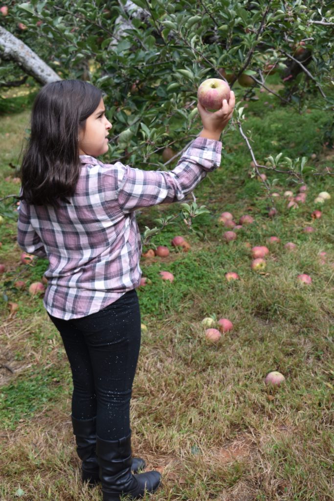 Pick Your Own Apples in NJ - NJ Family