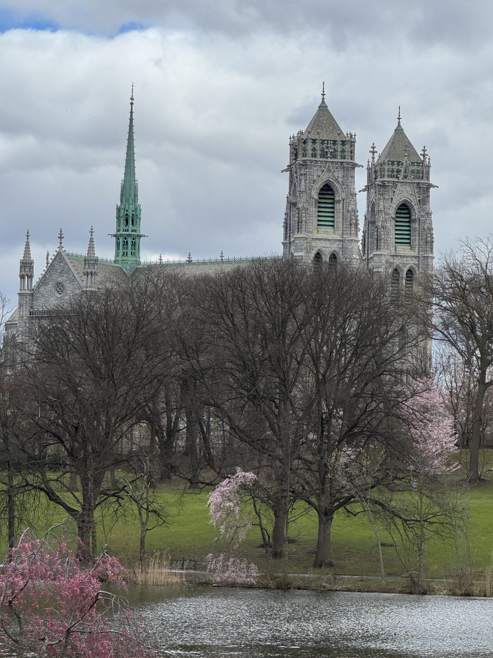 Find Out When To See The Cherry Blossoms at This NJ Park - NJ Family