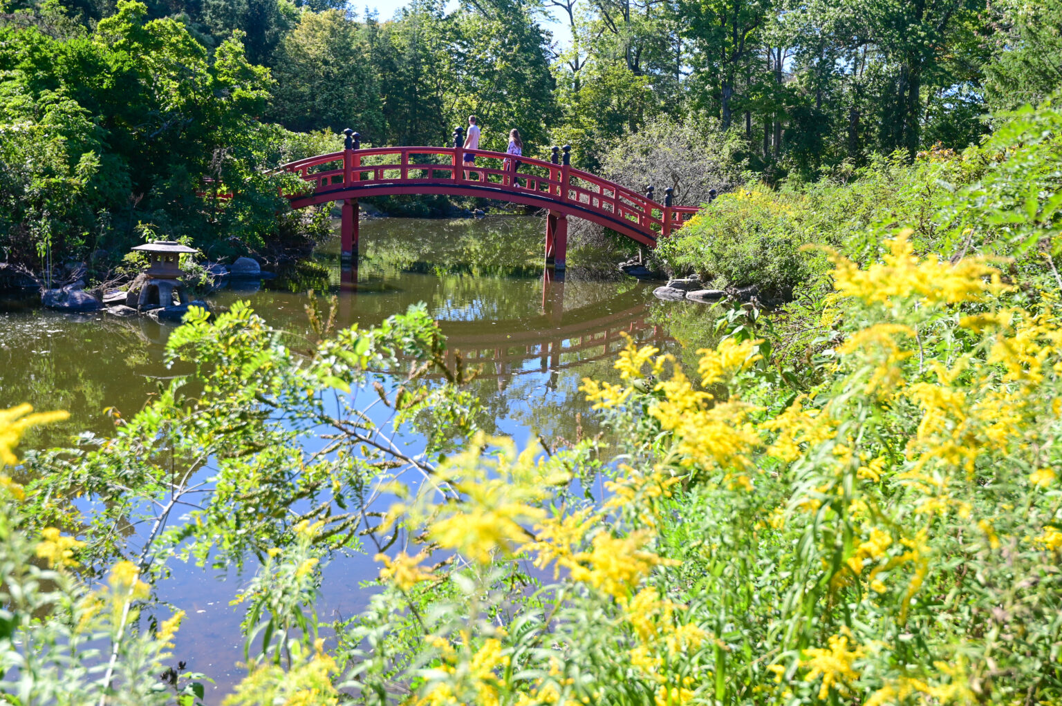 15 Must-See Gardens in New Jersey - NJ Family