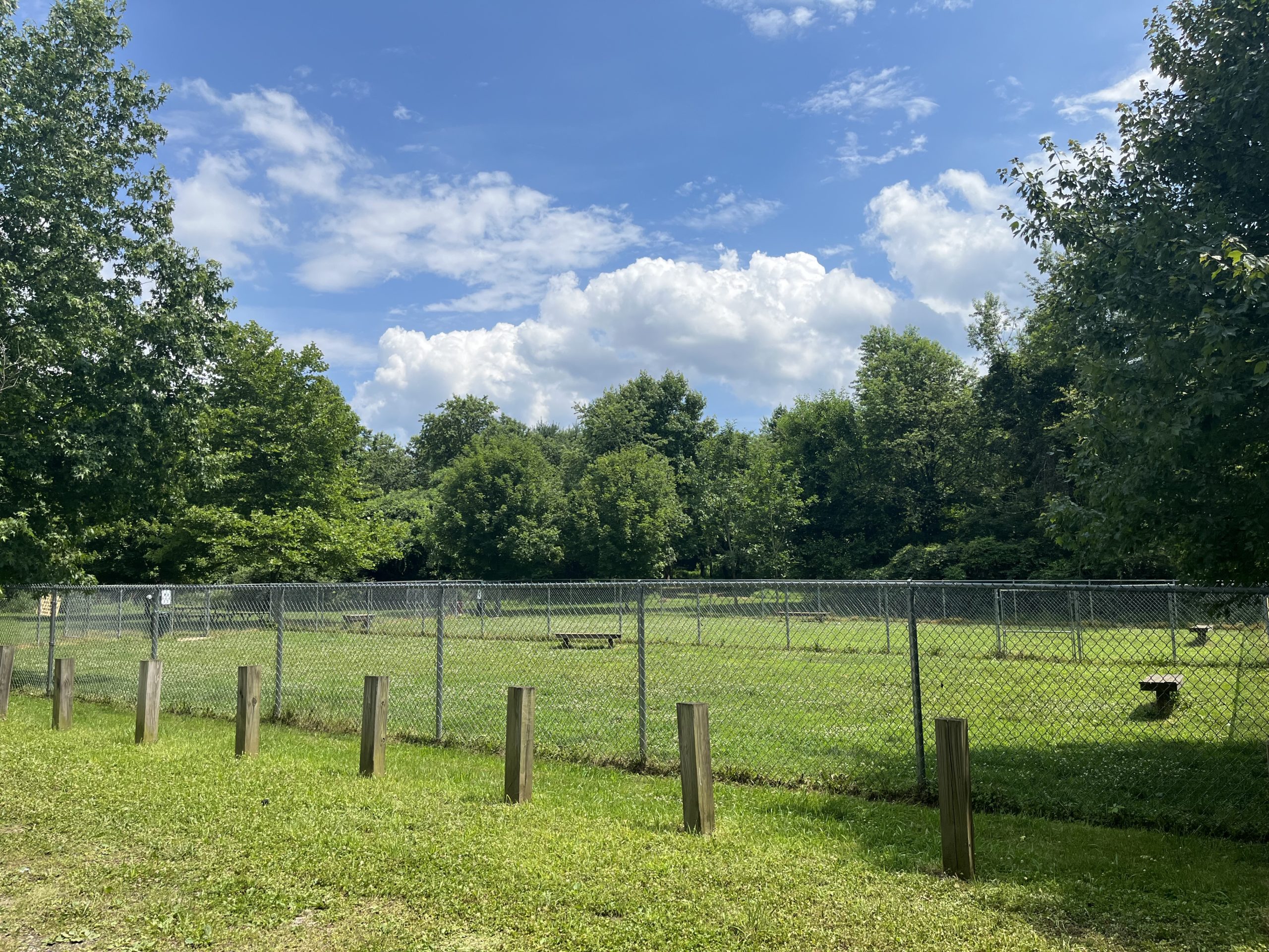 Take Your Four-Legged Friends to These NJ Dog Parks! - NJ Family