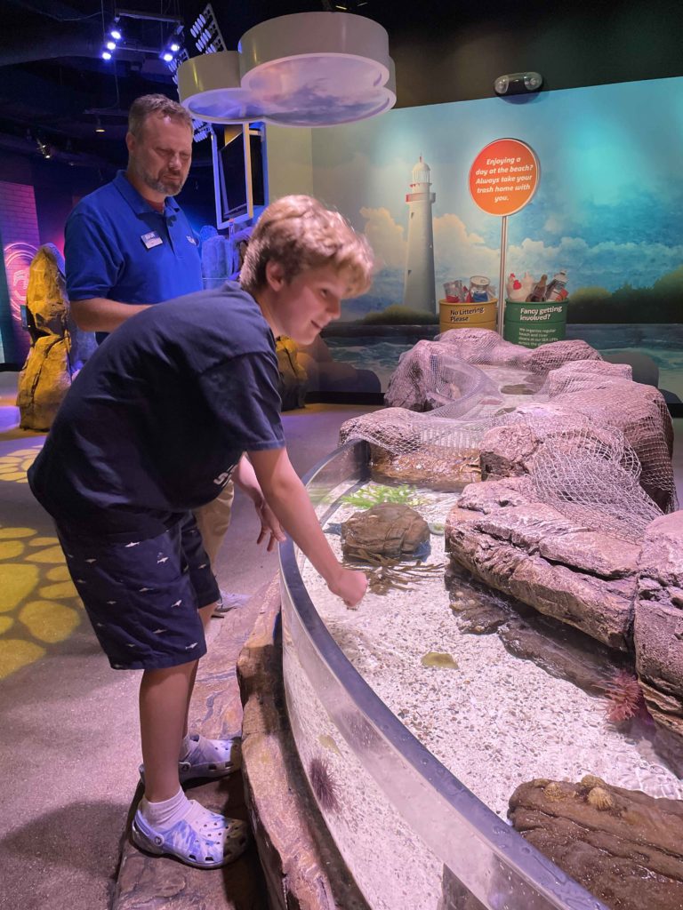 Celebrate The Week of Sharks at SEA LIFE Aquarium - NJ Family