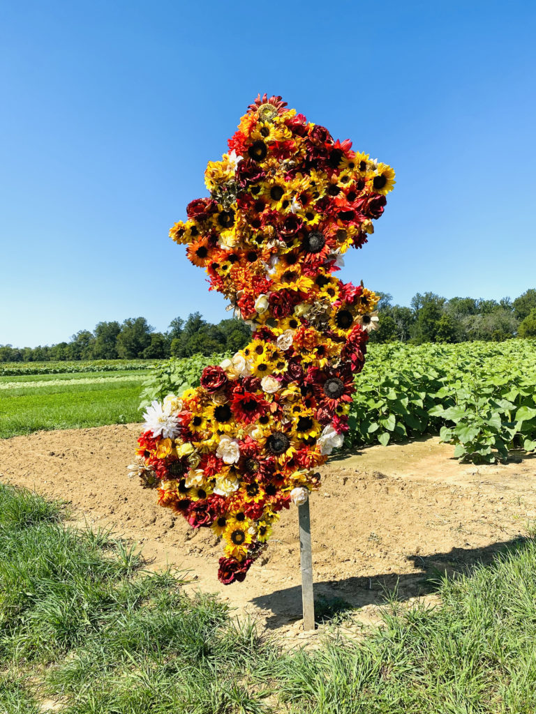 The Ultimate Guide to Fun in NJ This Spring - NJ Family