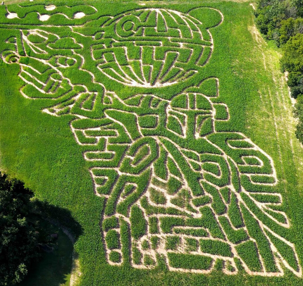The Best Corn Mazes in New Jersey - NJ Family