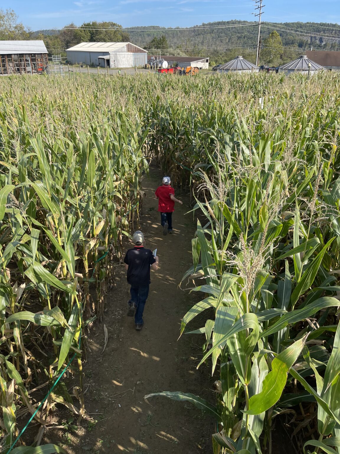 The Best Corn Mazes in New Jersey - NJ Family