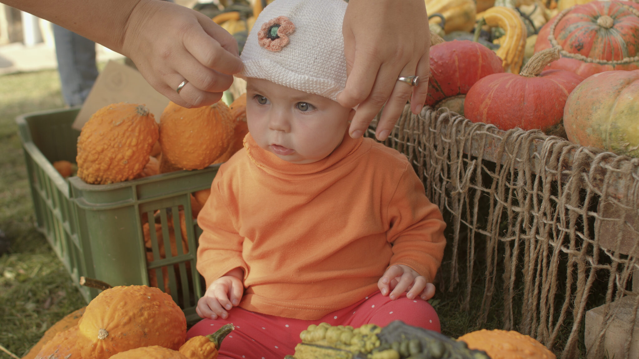 New Jersey's Best Fall Festivals - NJ Family