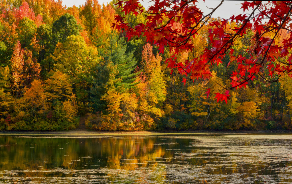 The Best Places to See Fall Foliage in New Jersey - NJ Family