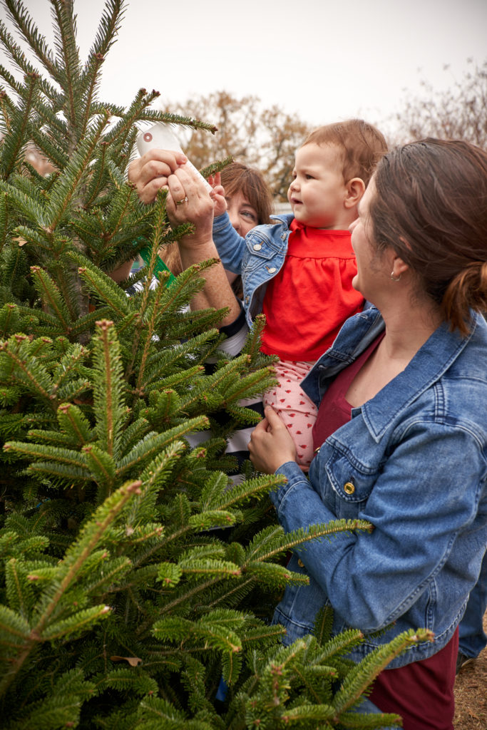 Celebrate Hallmark's Countdown to Christmas at a NJ Tree Farm - NJ Family