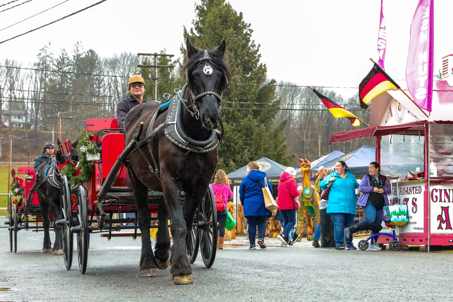 Where to Take a Horse-Drawn Carriage Ride In and Around New Jersey - NJ Family