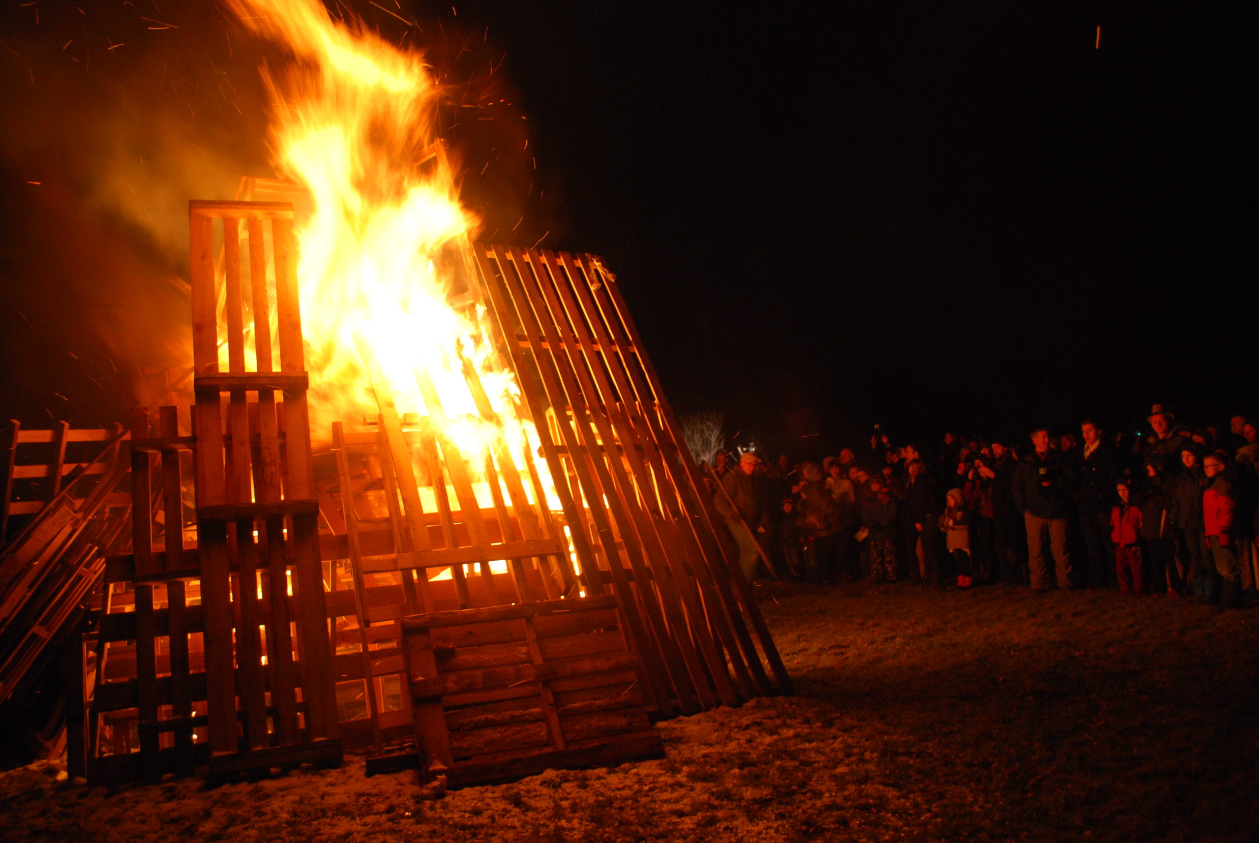 Things to Do in and Around NJ This New Year's Weekend - NJ Family