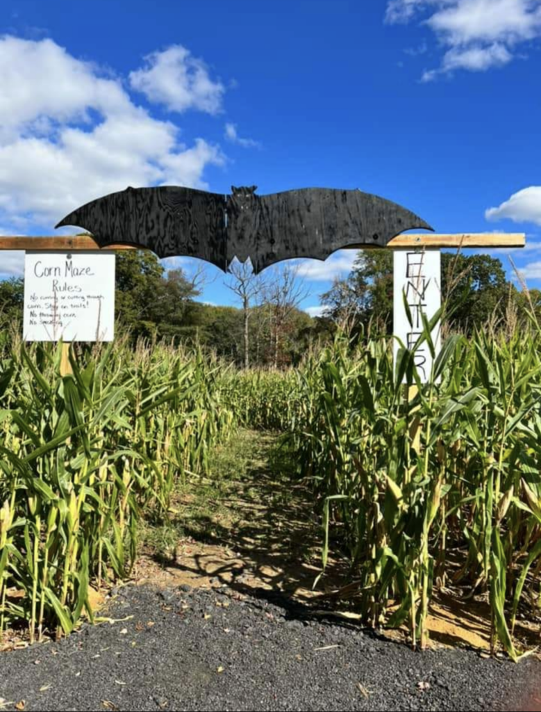 The Best Corn Mazes in New Jersey - NJ Family