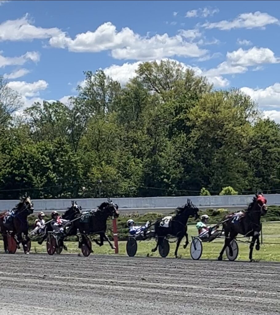 50 Things to Do in Monmouth County - NJ Family