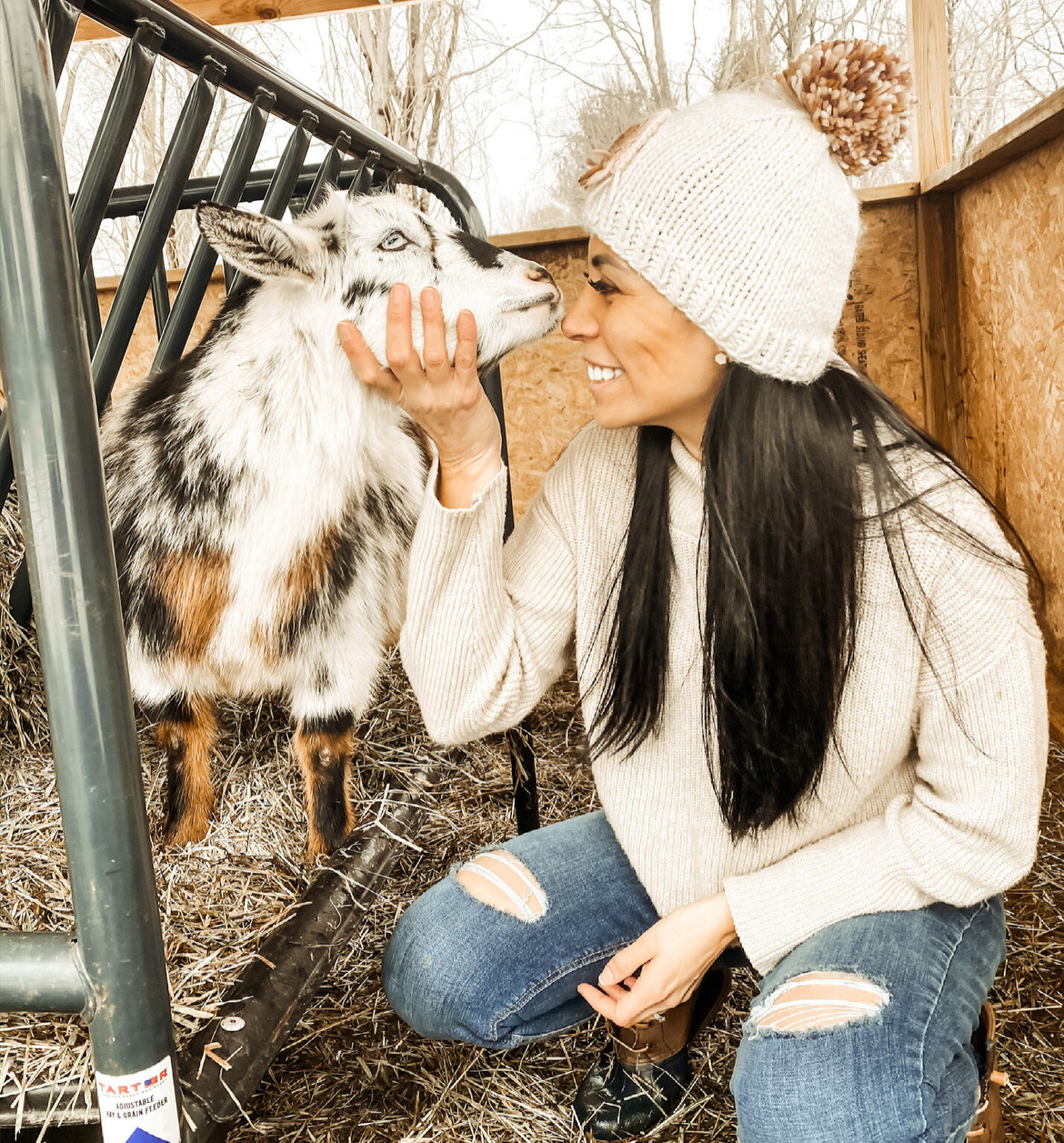 Meet the Cutest Yoga Partner! Where to Try Goat Yoga in NJ - NJ Family