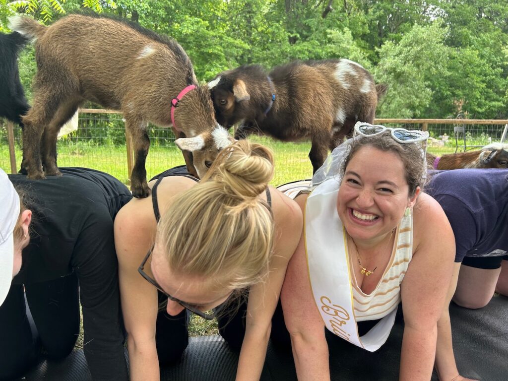 Meet the Cutest Yoga Partner! Where to Try Goat Yoga in NJ - NJ Family