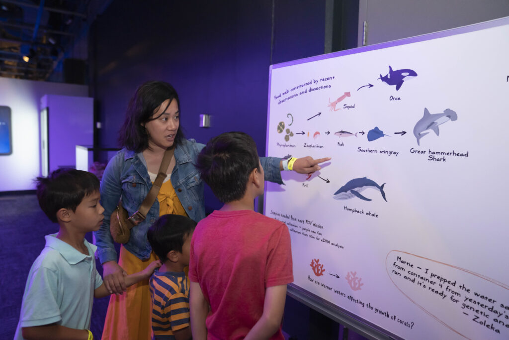 Travel Deep Under the Sea at Liberty Science Center's Ocean Xperience ...