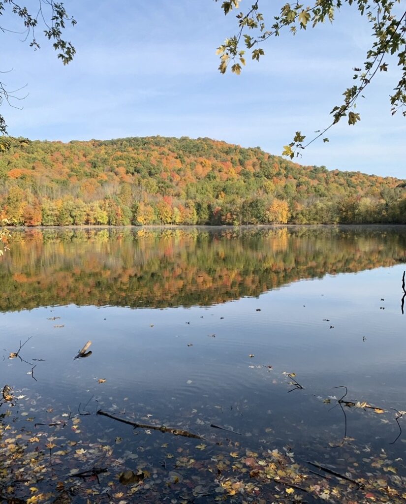 50 Things to Do in Bergen County - NJ Family