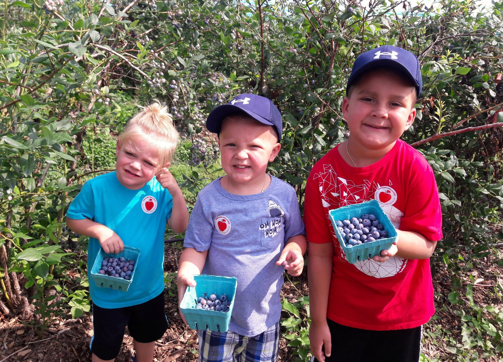 Terhune Orchards – NJ Family