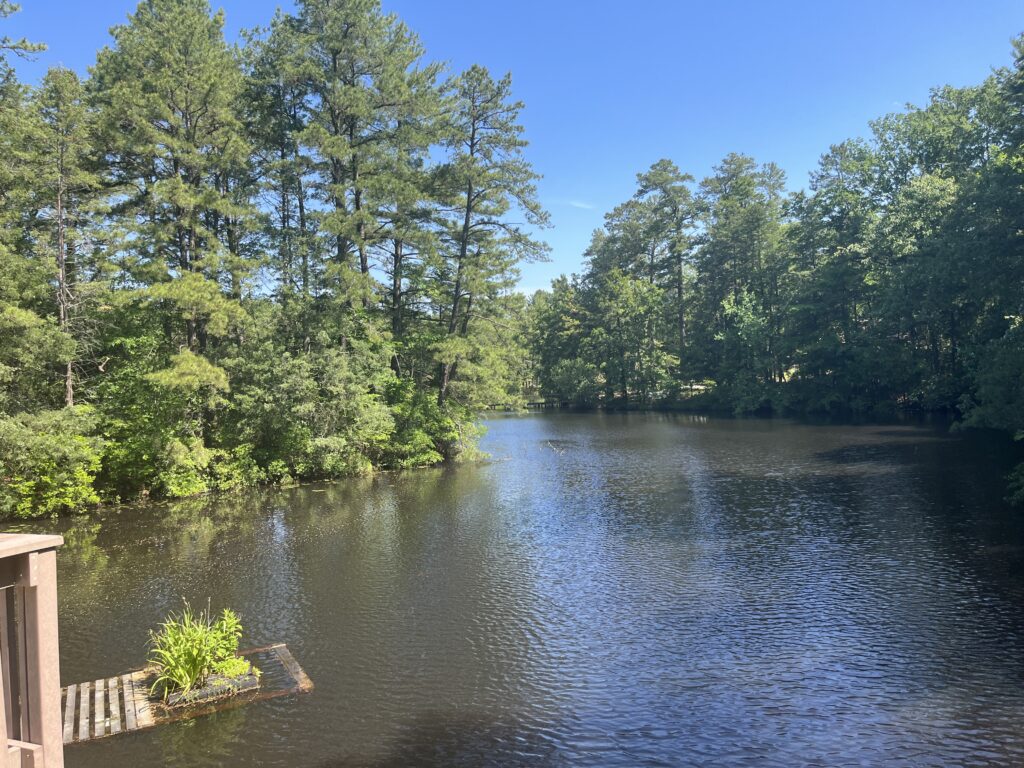 Take Your Animal Lovers to Woodford Cedar Run Wildlife Refuge - NJ Family
