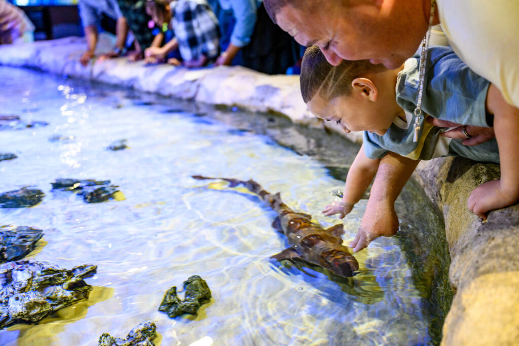 Things To Do In And Around New Jersey October 27-29 - NJ Family