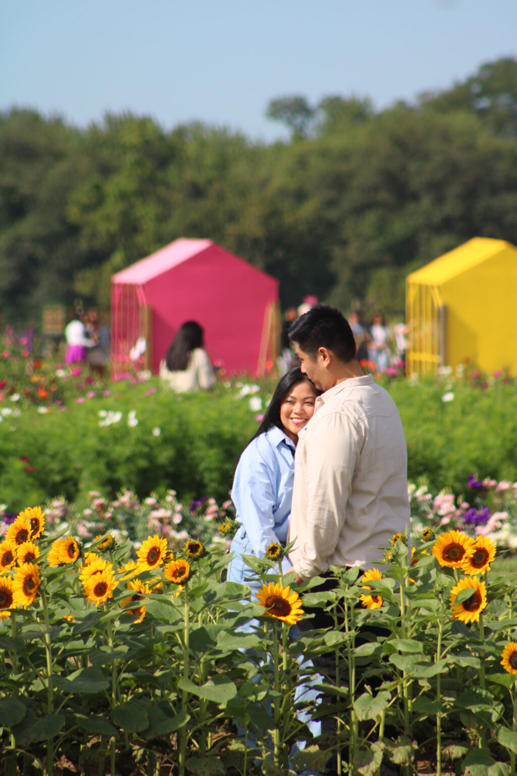 The Holland Ridge Fall Festival Is Almost Ready to Bloom With New ...