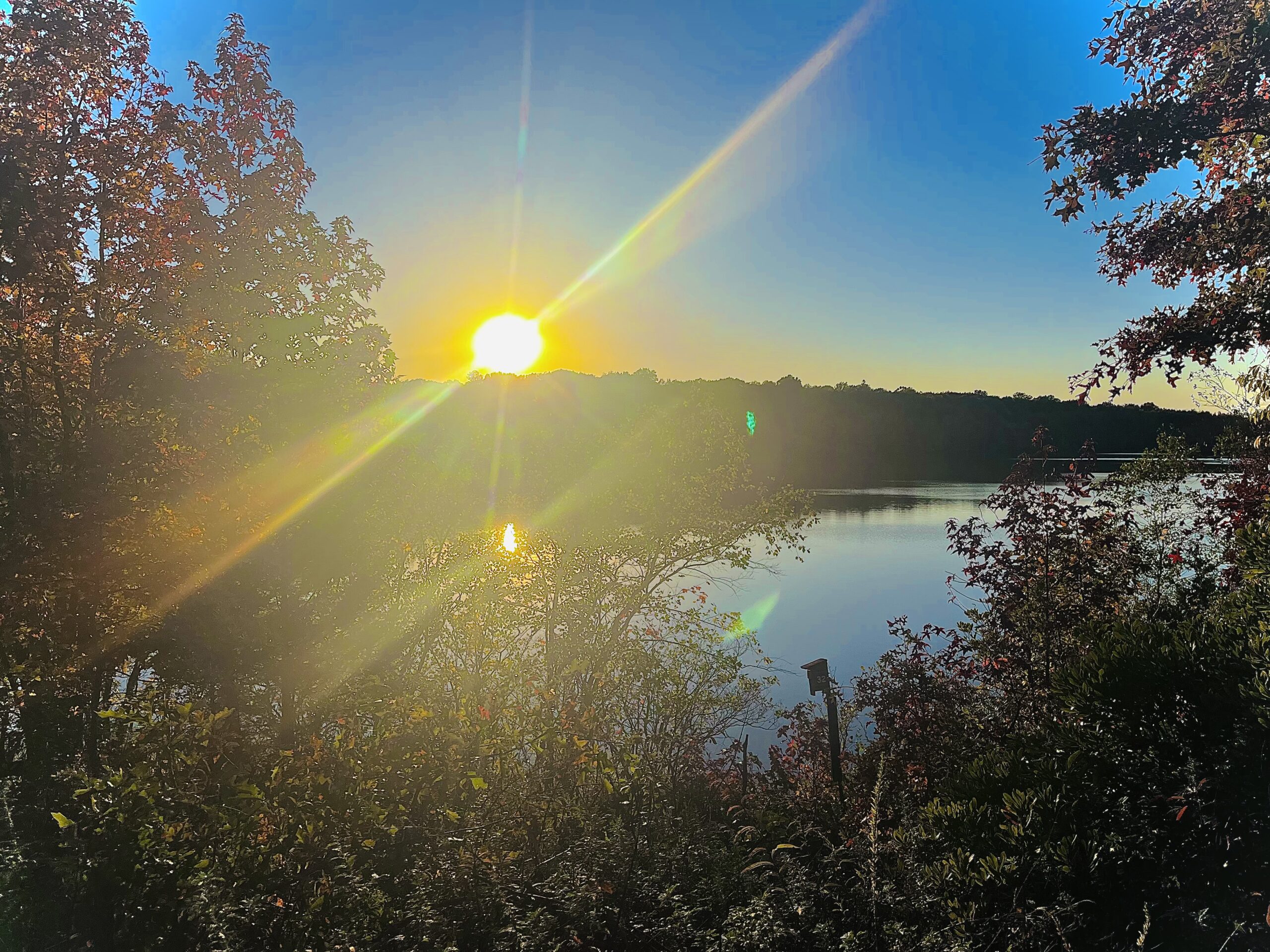 Full Moon Walk: August's Blue Moon - NJ Family