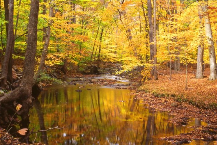 Must-Do Fall Activities in the Garden State - NJ Family