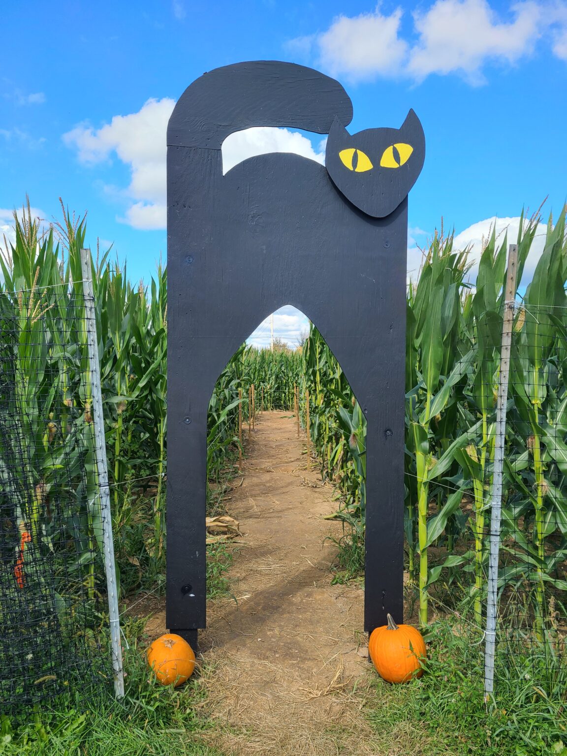The Best Corn Mazes in New Jersey - NJ Family
