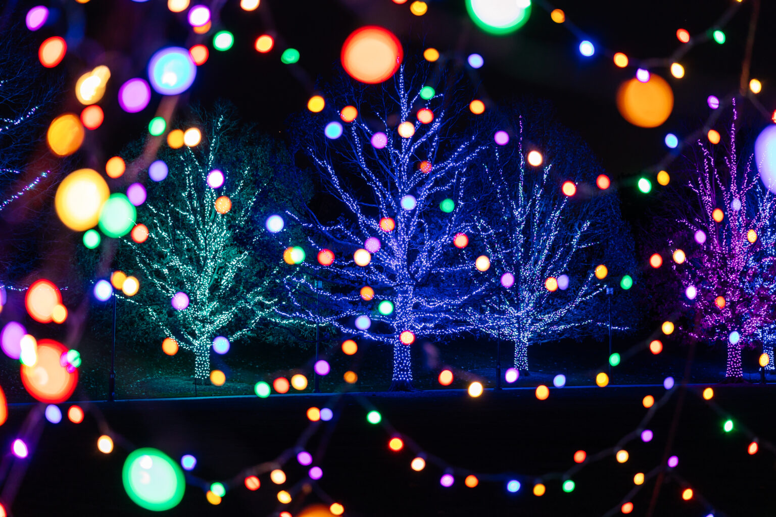 A Trip to Longwood Gardens Should Be Part of Your Holiday To-Do List ...