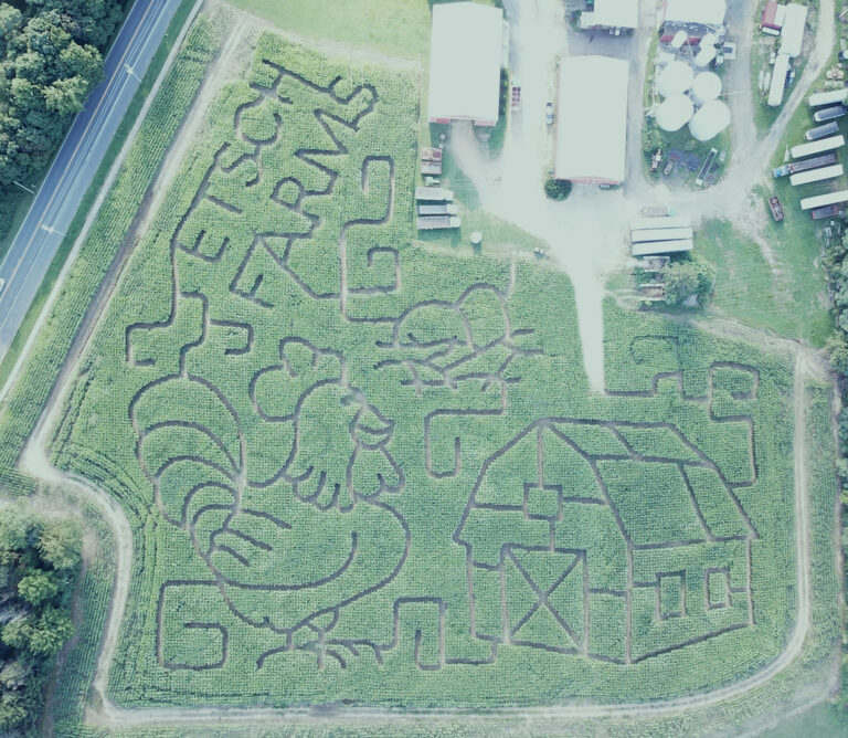 The Best Corn Mazes in New Jersey - NJ Family