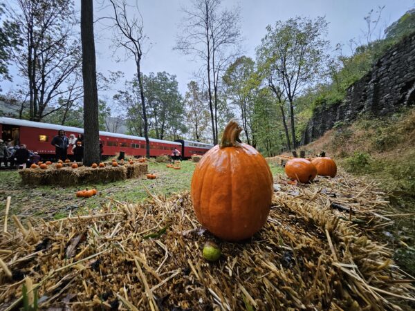 Halloween Trains: Where to Book a Pumpkin Ride With the Kids - NJ Family