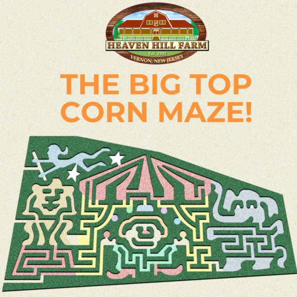 The Best Corn Mazes in New Jersey - NJ Family