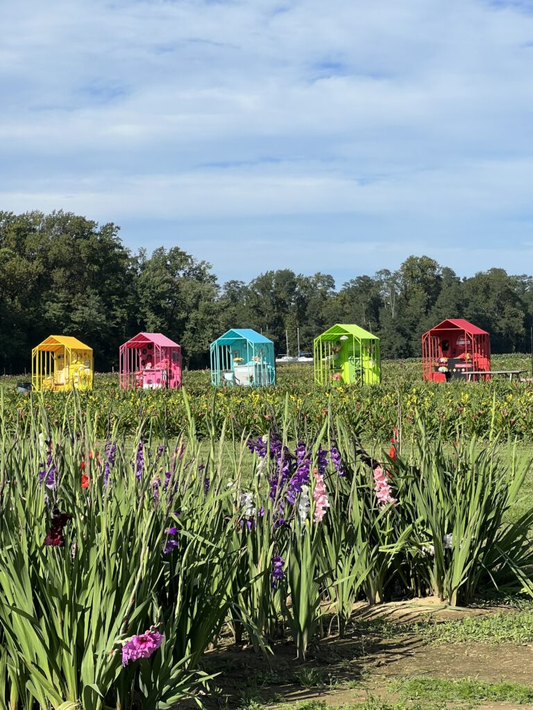 The Holland Ridge Fall Festival Is in Full Bloom - NJ Family