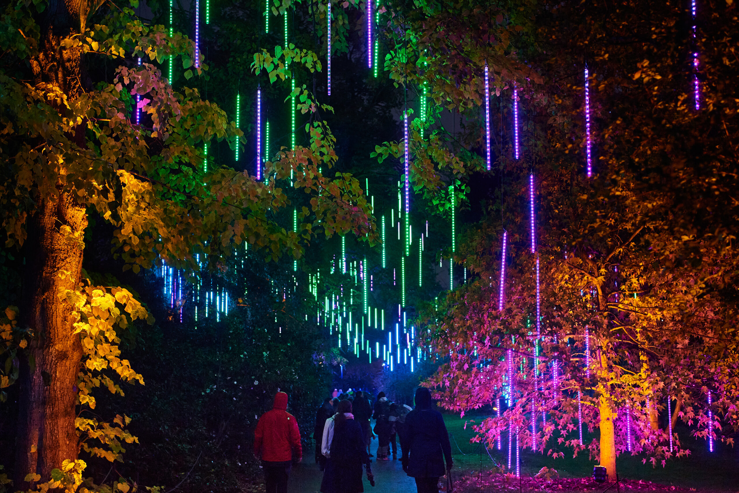 Head to Brooklyn to Walk Through a Mile of Musical Holiday Lights - NJ ...