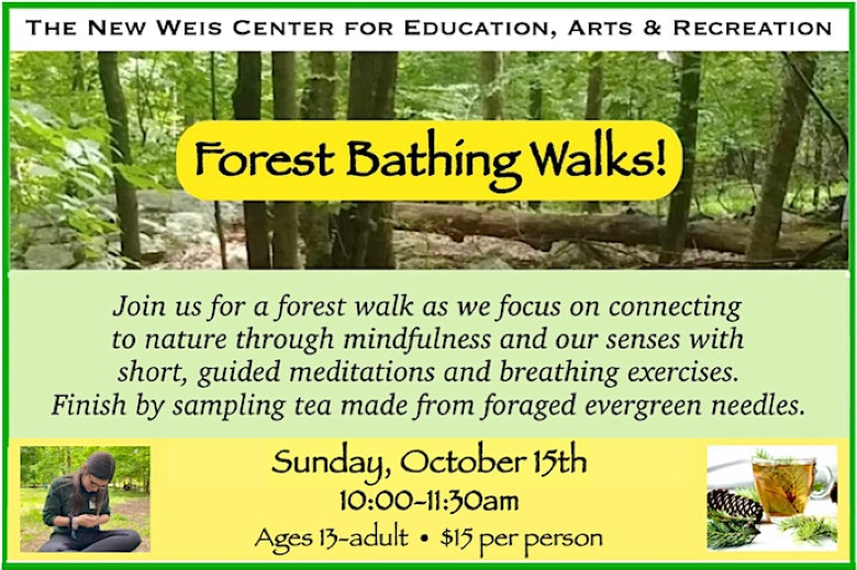 Forest Bathing Walk - NJ Family