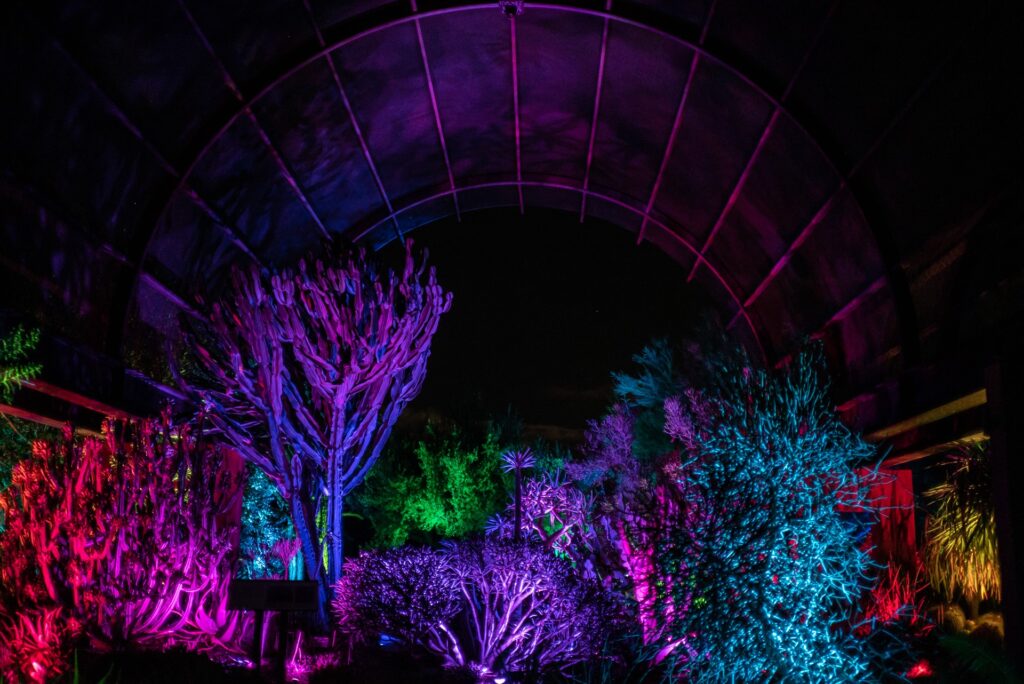 Night Forms at Grounds for Sculpture Is a Must-See - NJ Family