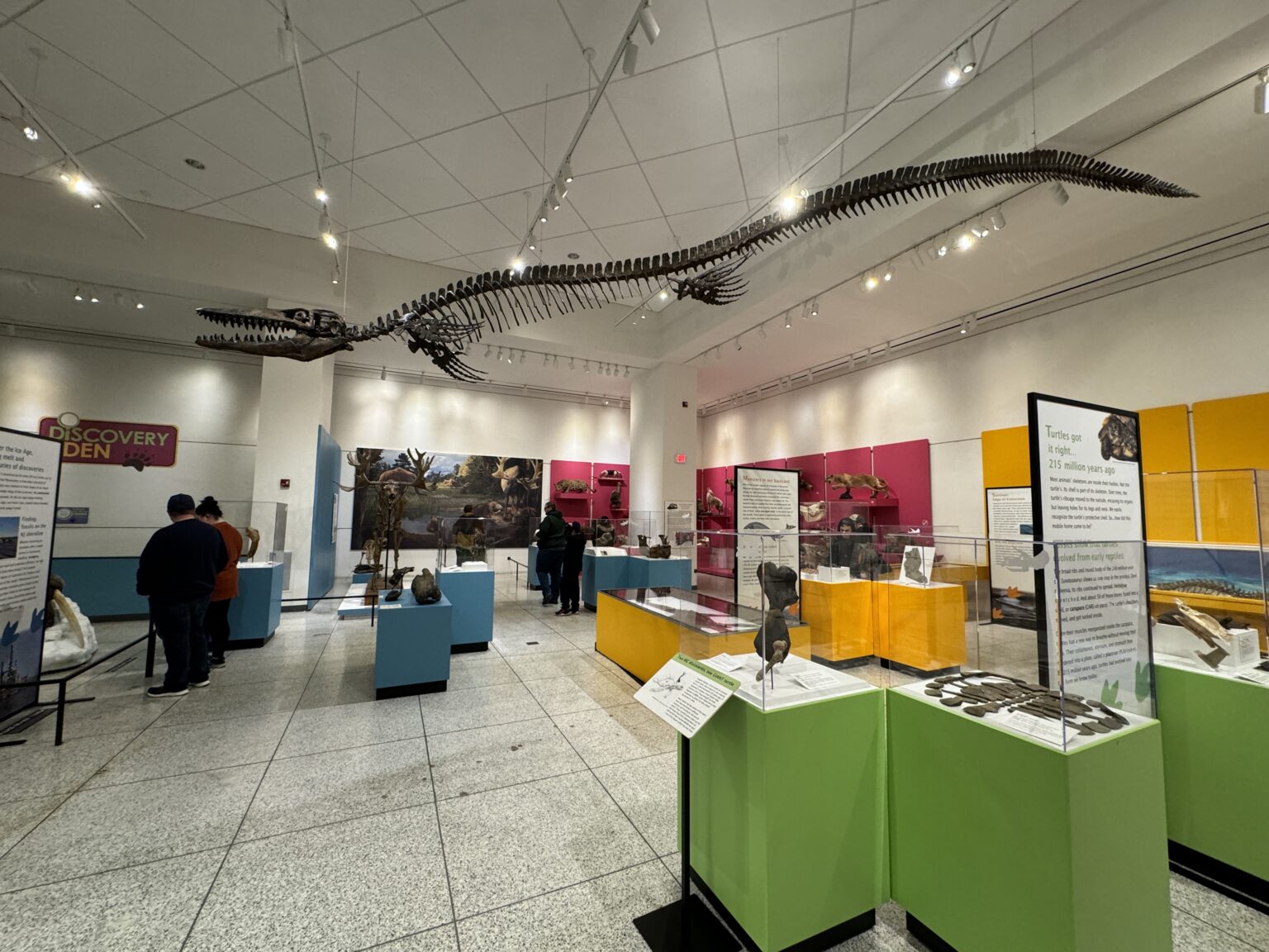 Learn All About New Jersey's Rich History at Our State Museum (and It's ...