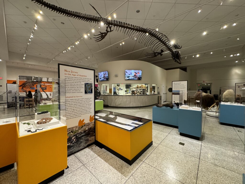 The Best Things to Do Indoors in New Jersey (2026) - NJ Family