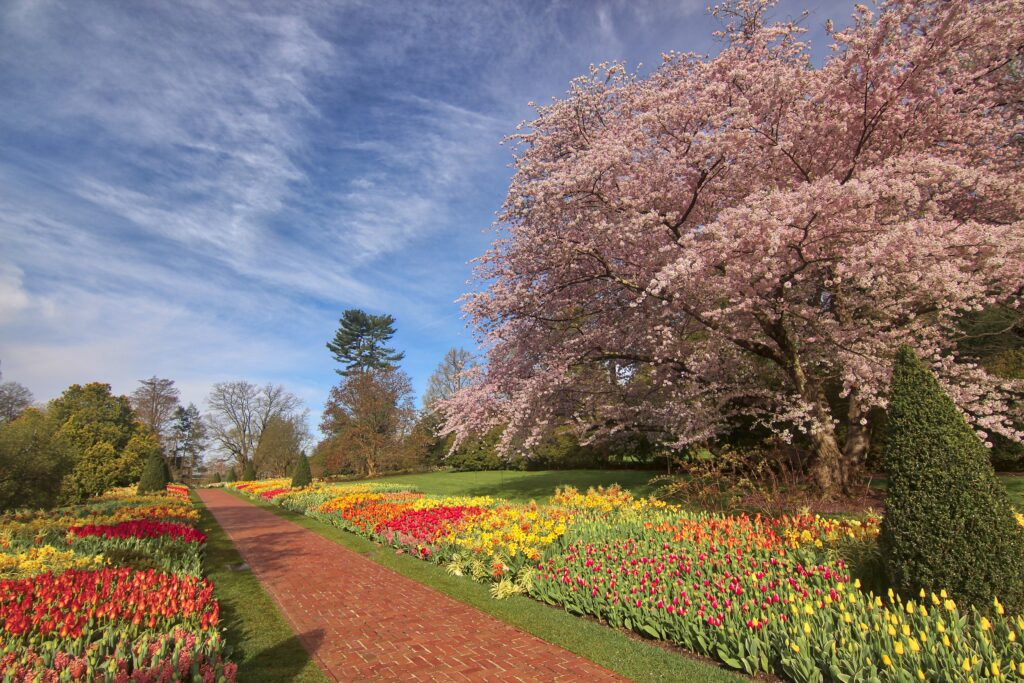 It's Not Springtime Until You Visit Longwood Gardens in PA - NJ Family