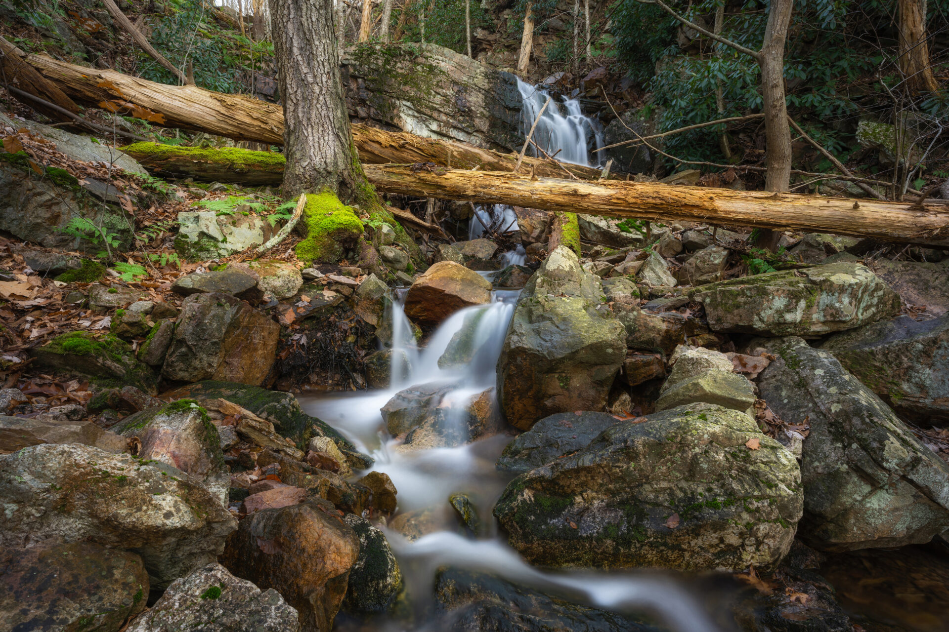The Best Waterfalls in New Jersey - Where to Go Near You - NJ Family