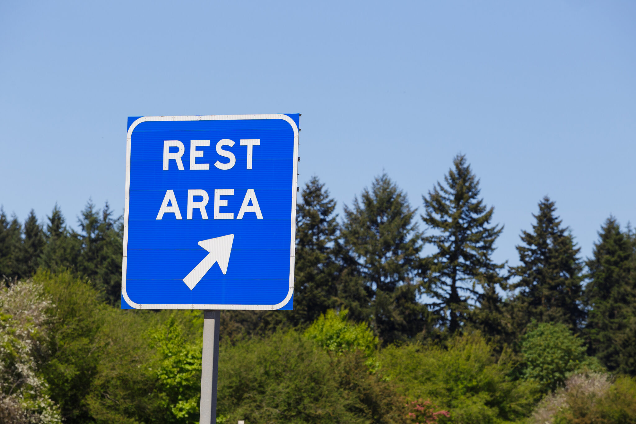 Rest Stop Along Garden State Parkway Will Be Named After Bruce Willis ...