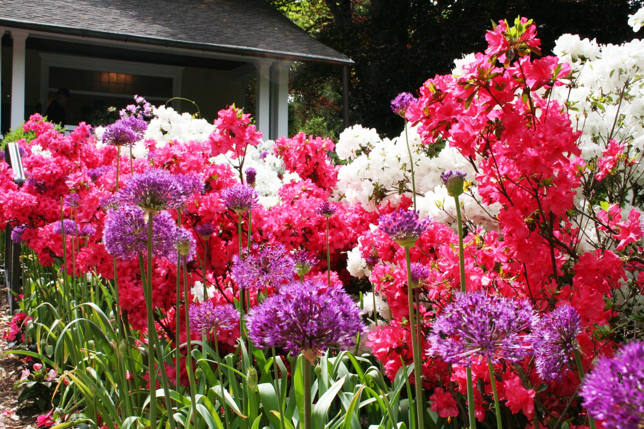 Springtime Flower Festivals In and Around New Jersey - NJ Family