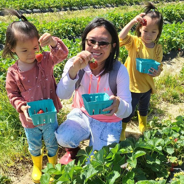 Strawberry Festival at Terhune Orchards - NJ Family