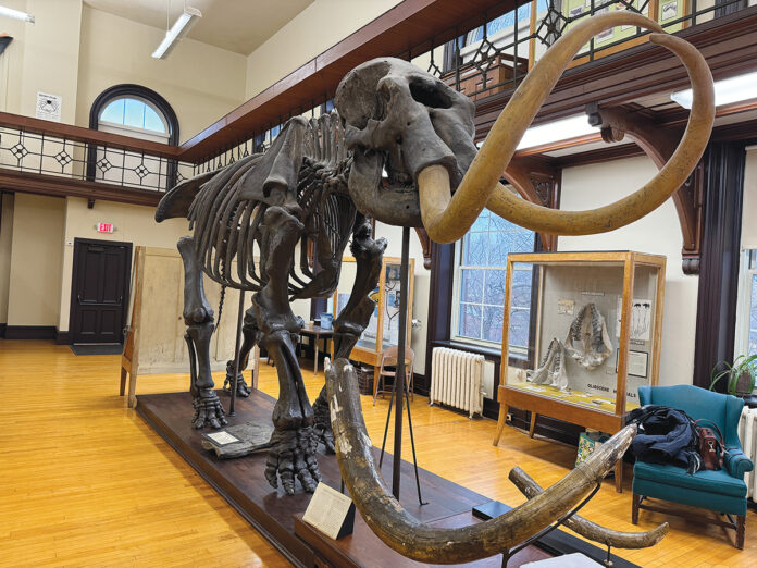 Your Kids - And You - Will Love These Day Trip Ideas In And Around New ...