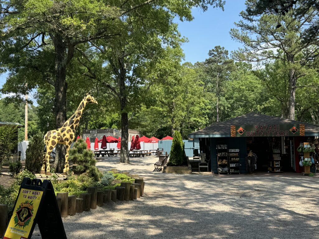 Six Flags Has A New Off-Road Adventure And You'll See the Safari in A ...