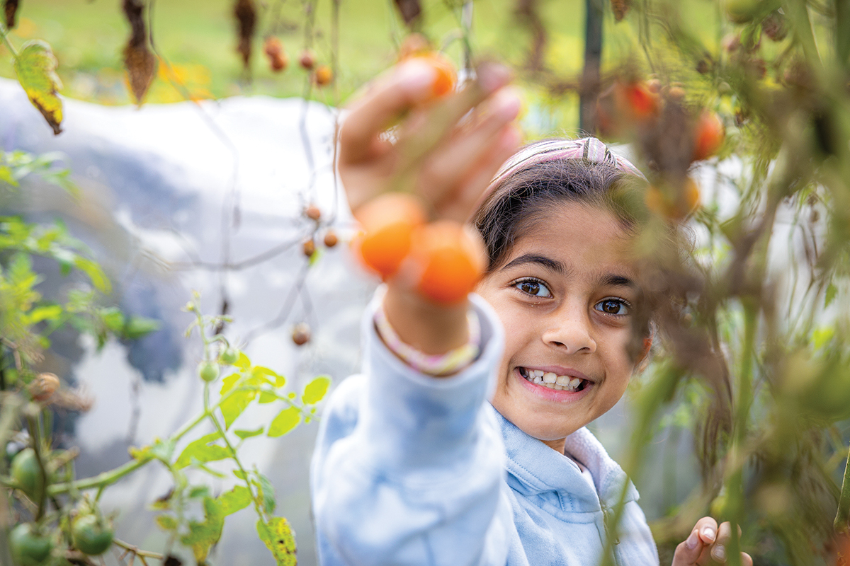 Gill St. Bernard’s School: A Balanced Education for a Meaningful Life ...