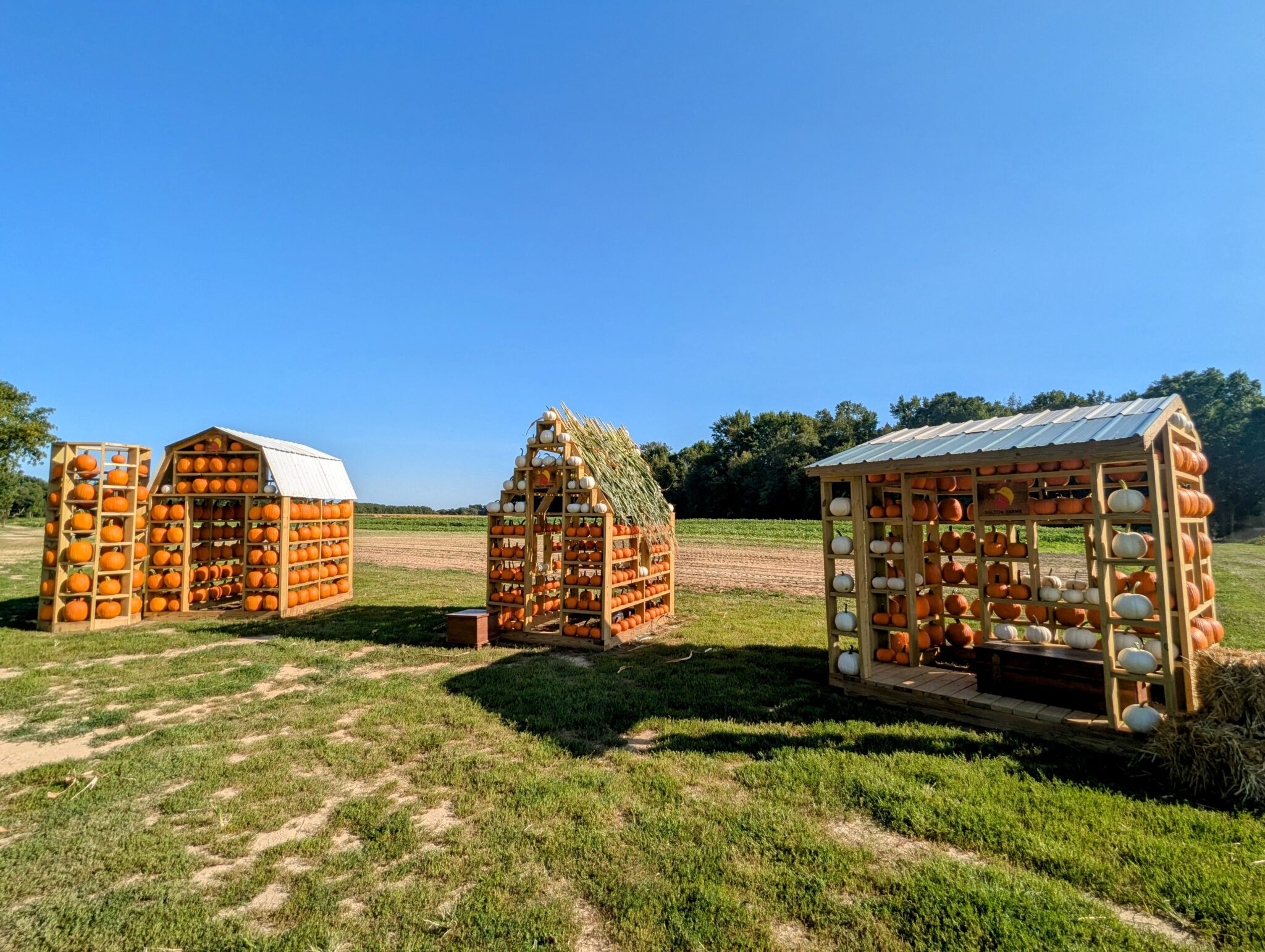 The Best Fairs and Festivals in and Around NJ in October - NJ Family