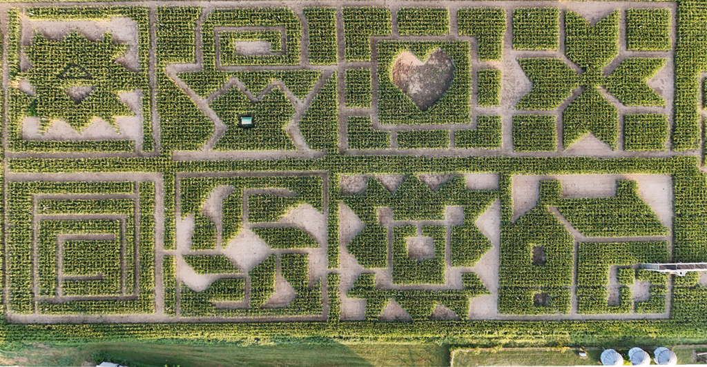 The Best Corn Mazes in New Jersey - NJ Family