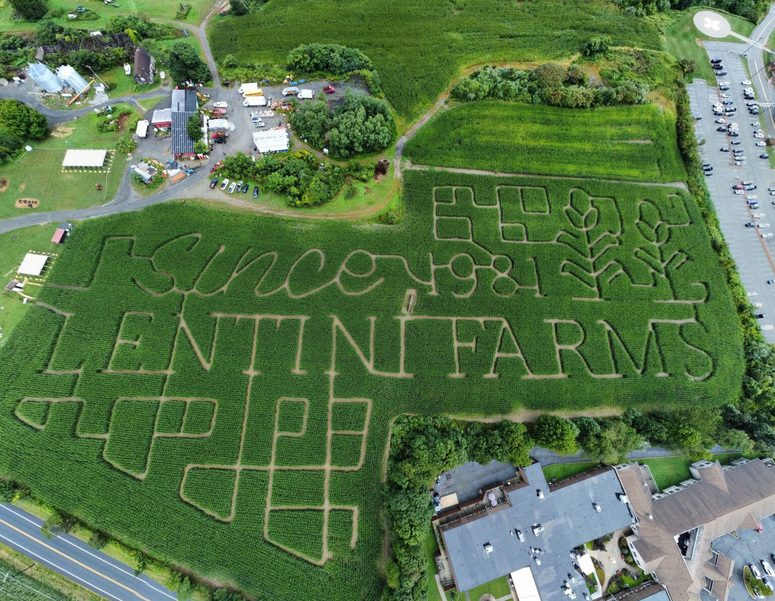 The Best Corn Mazes in New Jersey - NJ Family